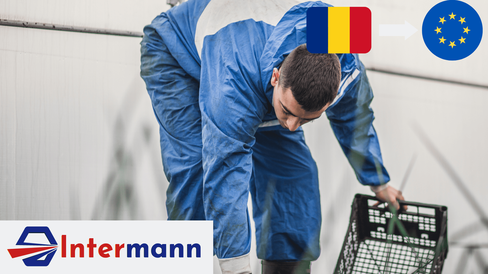 Lucrator in Sere - Locuri de munca si salarii Europa